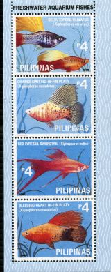 Freshwater Aquarium Fishes Part 1～観賞魚・改良ディスカス4種組の小型シート【フィリピン】: おさかなマガジン ...